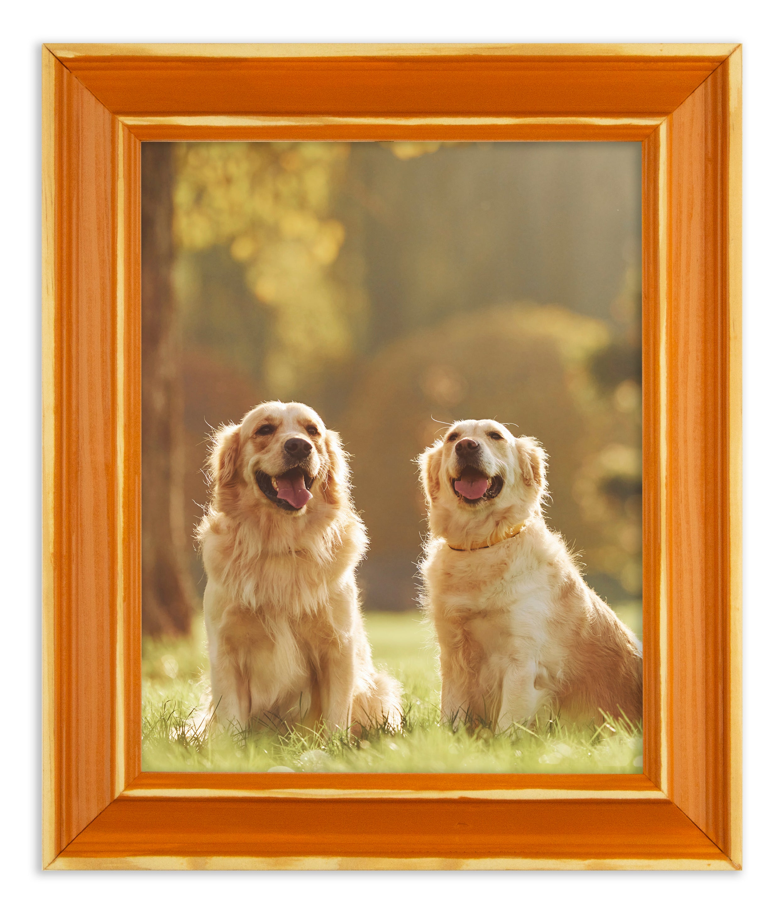 Distressed Classic Burnt Orange Picture Frame - Distressed Classic ...